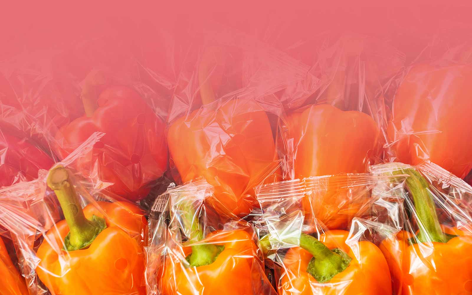 Welcome to SI Silicone Innovation - Silicone Innovation